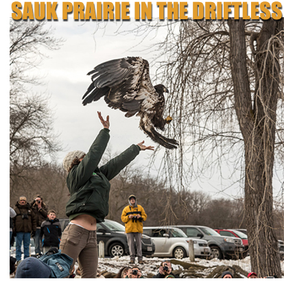 *Welcome to Sauk Prairie, WI Driftless Area Magazine