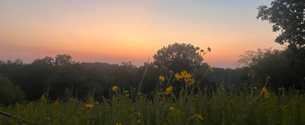 Spring Colors of the Driftless Driftless Area Magazine